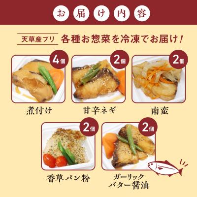 ふるさと納税 天草市 ブリの惣菜5種類12食セット_S010-064 : Yahoo!ふるさと納税 - 通販 - Yahoo!ショッピング