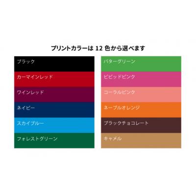 ふるさと納税 関市 【オウンネーム】PHYZ ファイズ ゴルフボール パール グリーン 1ダース T45-03 : 3086767 : Yahoo!ふるさと納税 - 通販 - Yahoo!ショッピング