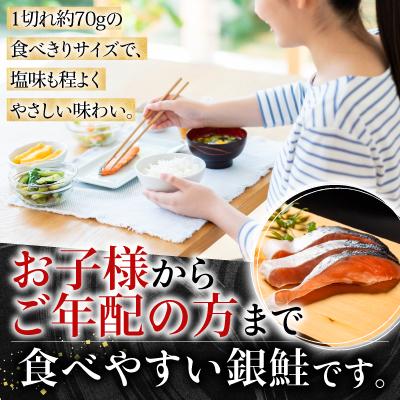 ふるさと納税 根室市 塩銀鮭切り身1切×35P B-09030 : Yahoo!ふるさと納税 - 通販 - Yahoo!ショッピング