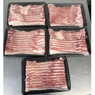 ふるさと納税 霧島市 国産!鹿児島県産黒豚バラスライス計1.5kg(300g×5P)【肉の豊楽】 A6-005 : 3119680 : Yahoo!ふるさと納税 - 通販 - Yahoo!ショッピング