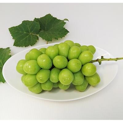 ふるさと納税 上山市 ぶどう(シャインマスカット)1.4kg 0009-2507 : Yahoo!ふるさと納税 - 通販 - Yahoo!ショッピング