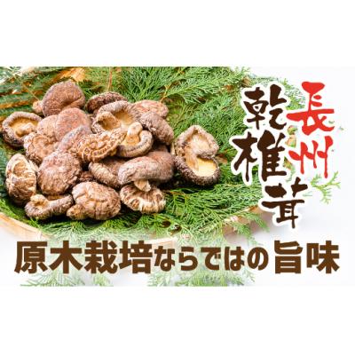 ふるさと納税 山口市 長州乾椎茸スライス28g×3袋 E048 : 3121051 : Yahoo!ふるさと納税 - 通販 - Yahoo!ショッピング
