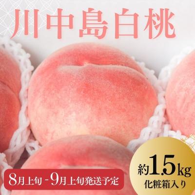 ふるさと納税 福島市 もも「川中島白桃」約1.5kg 化粧箱入【2025年発送】No.2219 : 3121265 : Yahoo!ふるさと納税 - 通販 - Yahoo!ショッピング