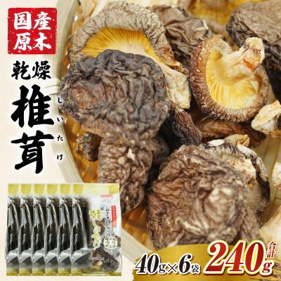 ふるさと納税 高千穂町 乾燥しいたけ 40g×6袋 240g : Yahoo!ふるさと納税 - 通販 - Yahoo!ショッピング