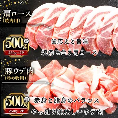 ふるさと納税 曽於市 天恵美豚食べ比べセット 3kg : Yahoo!ふるさと納税 - 通販 - Yahoo!ショッピング