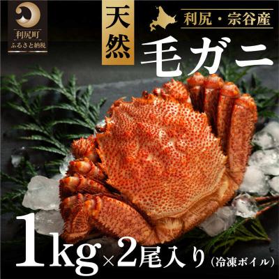 ふるさと納税 利尻町 利尻・宗谷産 冷凍ボイル毛蟹 1kg前後×2尾 [No5888-0769] : 3131923 : Yahoo!ふるさと納税 - 通販 - Yahoo!ショッピング