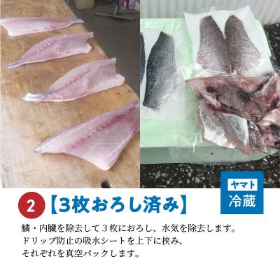 ふるさと納税 天草市 【3枚おろし済み】【指定日必須】 天草わくわく便 まるごと鮮魚セット_S059-018A : 3132913 : Yahoo!ふるさと納税 - 通販 - Yahoo!ショッピング