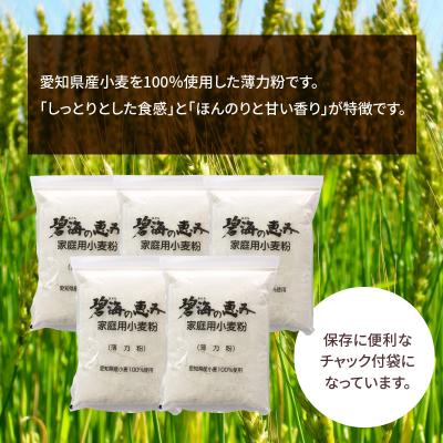 ふるさと納税 碧南市 【小麦粉】碧海の恵み 薄力粉 国産 愛知県産 800g×5袋(計4kg) H008-251 : Yahoo!ふるさと納税 - 通販 - Yahoo!ショッピング