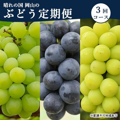 ふるさと納税 瀬戸内市 【2025年先行受付】 晴れの国 岡山 の ぶどう定期便 3回コース [No.5735-1702] : Yahoo!ふるさと納税 - 通販 - Yahoo!ショッピング