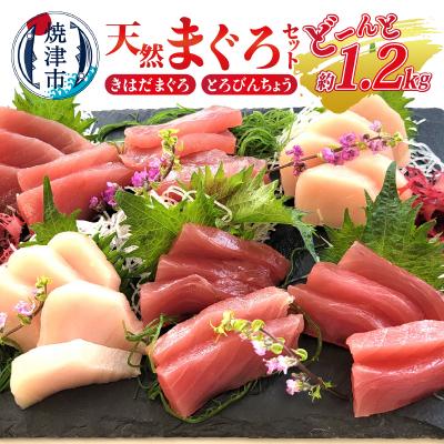 ふるさと納税 焼津市 天然 まぐろ セット(とろびんちょう・きはだまぐろ) 約1.2kg(a10-908) : Yahoo!ふるさと納税 - 通販 - Yahoo!ショッピング