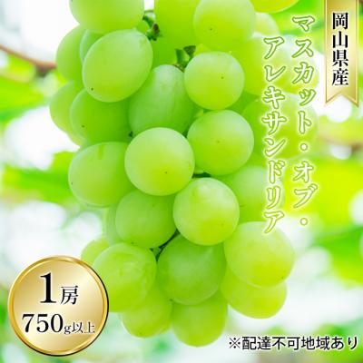 ふるさと納税 瀬戸内市 マスカット・オブ・アレキサンドリア 1房 750g以上 贈答用 岡山県産[No.5735-1597] : 3142803 : Yahoo!ふるさと納税 - 通販 ...