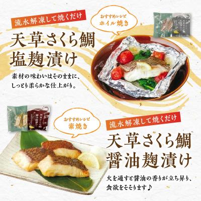 ふるさと納税 天草市 天草YO!殖魚便 ぶり さくら鯛 4種 各1パック_S042-004A : 3147569 : Yahoo!ふるさと納税 - 通販 - Yahoo!ショッピング