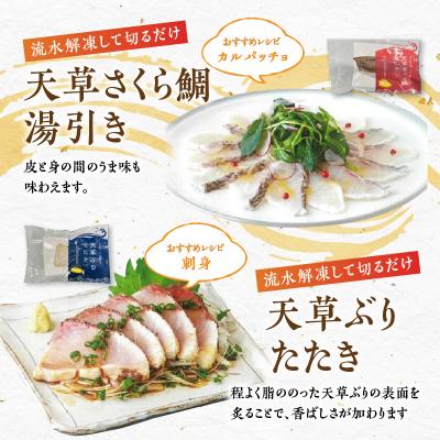 ふるさと納税 天草市 天草YO!殖魚便 ぶり さくら鯛 4種 各1パック_S042-004A : 3147569 : Yahoo!ふるさと納税 - 通販 - Yahoo!ショッピング