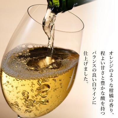 ふるさと納税 余市町 葡萄作りの匠 北島秀樹ケルナー 2020 甘口 _Y020-0232 : Yahoo!ふるさと納税 - 通販 - Yahoo!ショッピング