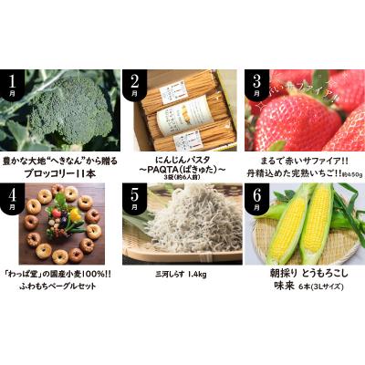 ふるさと納税 碧南市 肉・魚・野菜・フルーツすべて詰まった旬の定期便(全12回お届け) H028-073 : 3148701 : Yahoo!ふるさと納税 - 通販 - Yahoo!ショッピング