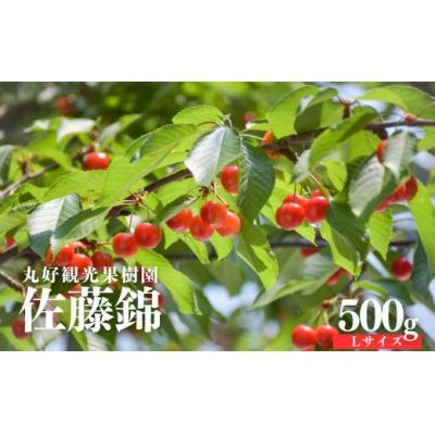 ふるさと納税 福島市 さくらんぼ「佐藤錦」500g(Lサイズ)【2025年発送】No.2714 : Yahoo!ふるさと納税 - 通販 - Yahoo!ショッピング
