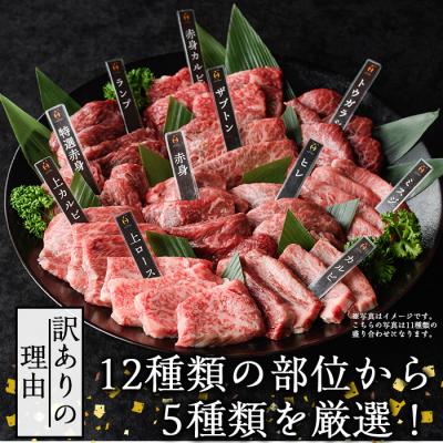 ふるさと納税 佐伯市 おおいた和牛お試し食べ比べ焼肉5種セット(合計350g・70g×5種) : Yahoo!ふるさと納税 - 通販 - Yahoo!ショッピング