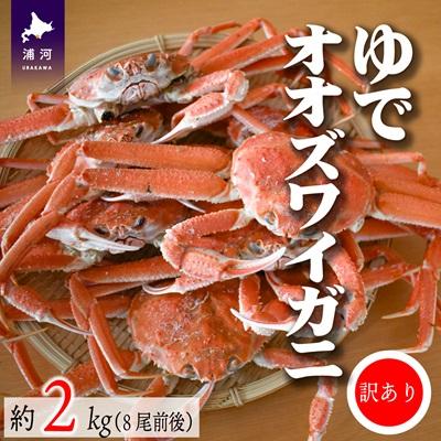 ふるさと納税 浦河町 訳あり ゆでオオズワイガニ約2kg(8尾前後入)[02-1306] : Yahoo!ふるさと納税 - 通販 - Yahoo!ショッピング
