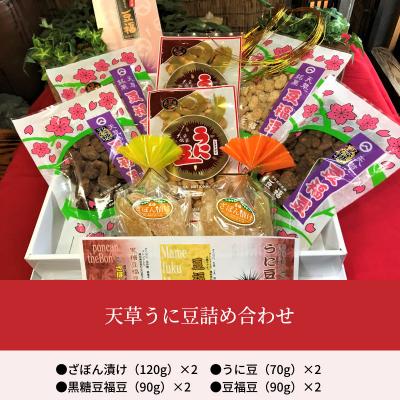 ふるさと納税 天草市 天草うに豆詰め合わせ_S054-009A : Yahoo!ふるさと納税 - 通販 - Yahoo!ショッピング