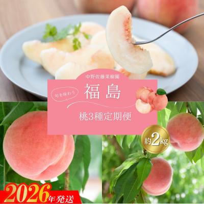 ふるさと納税 福島市 福島の桃3種定期便 各2kg【2025年発送】No.2791 : Yahoo!ふるさと納税 - 通販 - Yahoo!ショッピング
