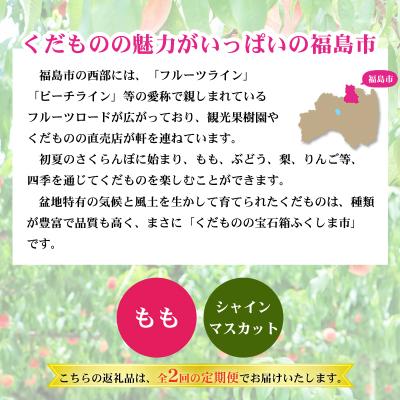 ふるさと納税 福島市 福島のフルーツ定期便2種【2026年発送 先行受付】No.2767 : Yahoo!ふるさと納税 - 通販 - Yahoo!ショッピング