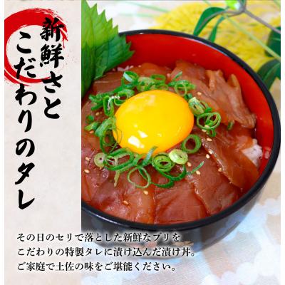 ふるさと納税 田野町 これが魚屋の漬け丼だ! 〜ブリ〜 80g×5P ★訳あり★ : 3174002 : Yahoo!ふるさと納税 - 通販 - Yahoo!ショッピング