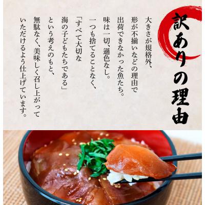 ふるさと納税 田野町 これが魚屋の漬け丼だ! 〜ブリ〜 80g×5P ★訳あり★ : 3174002 : Yahoo!ふるさと納税 - 通販 - Yahoo!ショッピング