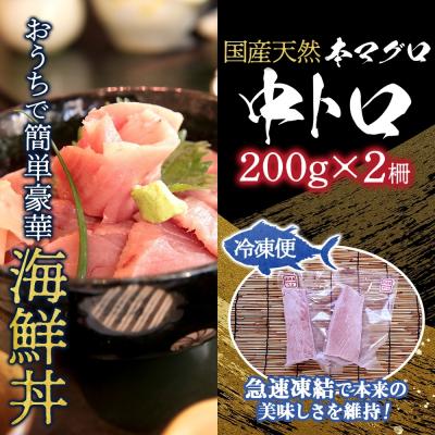 ふるさと納税 深浦町 国産天然本マグロの中トロセット【No.5296-0169】 : 3180116 : Yahoo!ふるさと納税 - 通販 - Yahoo!ショッピング