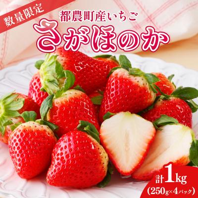 ふるさと納税 都農町 先行受付≪数量限定≫都農町産いちご「さがほのか」計1kg_T015-001 : 3182781 : Yahoo!ふるさと納税 - 通販 - Yahoo!ショッピング