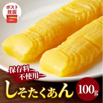 ふるさと納税 都農町 \ポスト投函/しそたくあん100g 漬物 おかず 野菜 加工品 国産_T037-0031 : Yahoo!ふるさと納税 - 通販 - Yahoo!ショッピング