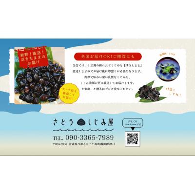ふるさと納税 つがる市 さとうしじみ屋の十三湖産活しじみ(大粒1kg) [0600] : Yahoo!ふるさと納税 - 通販 - Yahoo!ショッピング