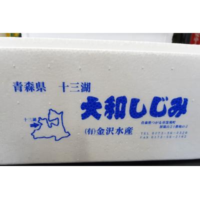 ふるさと納税 つがる市 十三湖産 冷凍 ヤマトシジミ 特大 1kg [0554] : Yahoo!ふるさと納税 - 通販 - Yahoo!ショッピング