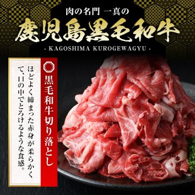 ふるさと納税 霧島市 鹿児島黒毛和牛切り落とし(800g)【肉の名門 一真】A5-024 : Yahoo!ふるさと納税 - 通販 - Yahoo!ショッピング