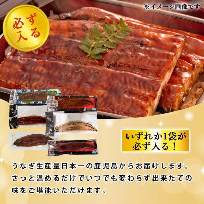 ふるさと納税 薩摩川内市 【お楽しみ福袋D】うなぎ1尾が必ず入る!6品以上 BS-044 : Yahoo!ふるさと納税 - 通販 - Yahoo!ショッピング