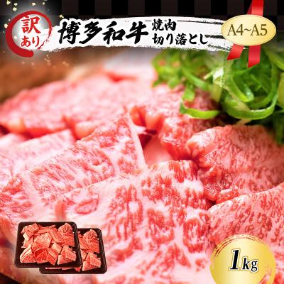 ふるさと納税 小郡市 訳あり A4〜A5 博多和牛 焼肉 切り落とし 1kg (500g×2p)[No5354-0561] : Yahoo!ふるさと納税 - 通販 - Yahoo!ショッピング