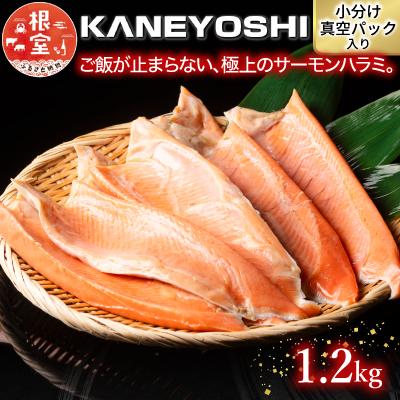 ふるさと納税 根室市 とろサーモンハラミ1.2kg G-09006 : 3211252 : Yahoo!ふるさと納税 - 通販 - Yahoo!ショッピング