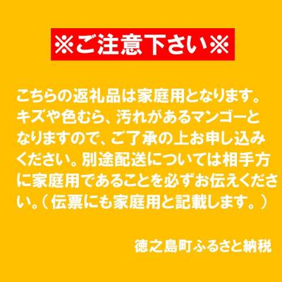 ふるさと納税 徳之島町 ≪今が旬!≫訳あり!【家庭用】徳之島産完熟マンゴー1kg(2〜3玉) : Yahoo!ふるさと納税 - 通販 - Yahoo!ショッピング