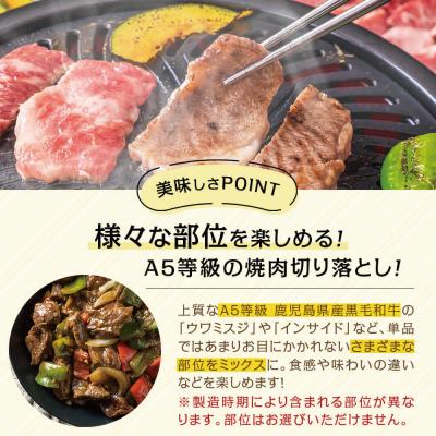 ふるさと納税 南さつま市 【鹿児島県産】A5等級黒毛和牛 焼肉 切り落とし計1kg(250g×4P) : 3212035 : Yahoo!ふるさと納税 - 通販 - Yahoo!ショッピング