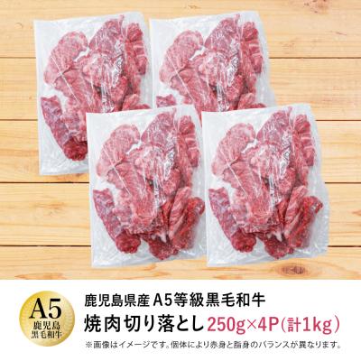 ふるさと納税 南さつま市 【鹿児島県産】A5等級黒毛和牛 焼肉 切り落とし計1kg(250g×4P) : 3212035 : Yahoo!ふるさと納税 - 通販 - Yahoo!ショッピング