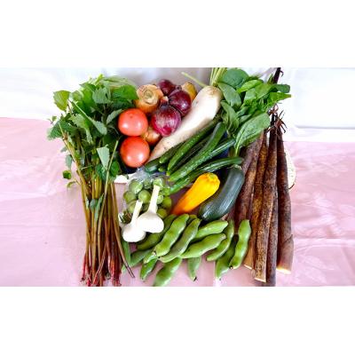 ふるさと納税 蔵王町 蔵王産 季節の恵み詰合せセット[No.5800-0038] : 3222000 : Yahoo!ふるさと納税 - 通販 ...