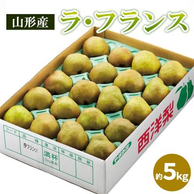ふるさと納税 山形市 山形のラ・フランス 秀品 約5kg(12〜20個) FY25-828 : Yahoo!ふるさと納税 - 通販 - Yahoo!ショッピング