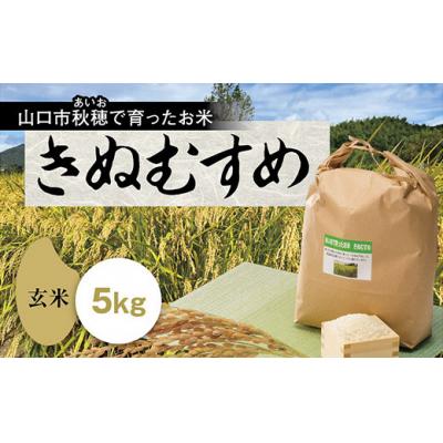 ふるさと納税 山口市 あいお(秋穂)で育ったお米 きぬむすめ 玄米 5kg D311 : Yahoo!ふるさと納税 - 通販 - Yahoo!ショッピング