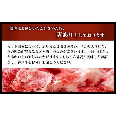 ふるさと納税 加西市 神戸牛 訳あり 焼肉用 500g A4ランク以上! 神戸ビーフ[No5698-1747] : 3236475 : Yahoo!ふるさと納税 - 通販 - Yahoo!ショッピング