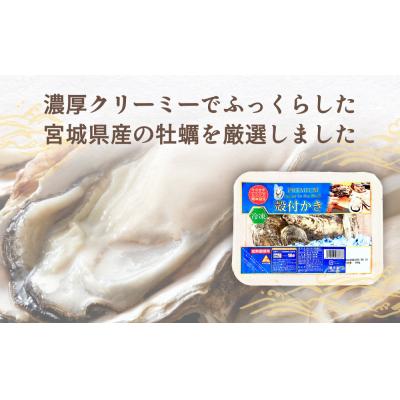 ふるさと納税 石巻市 レンジで簡単調理 殻付きかきレンジ1P 簡単調理 BBQ 牡蠣 カキ 蒸し牡蠣 三陸 海鮮 魚介 : 3239590 ...