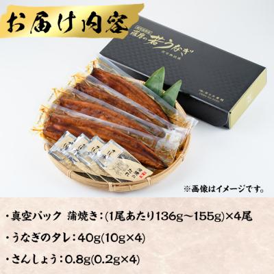 ふるさと納税 曽於市 鹿児島県産うなぎ蒲焼 (1尾あたり136g〜155g×4尾、タレ・山椒付き) : 3239603 : Yahoo!ふるさと納税 - 通販 - Yahoo!ショッピング