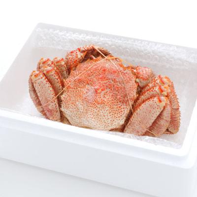 ふるさと納税 根室市 【12/22まで年内配送】毛がに800g〜1kg C-25025 : 3244391 : Yahoo!ふるさと納税 - 通販 - Yahoo!ショッピング