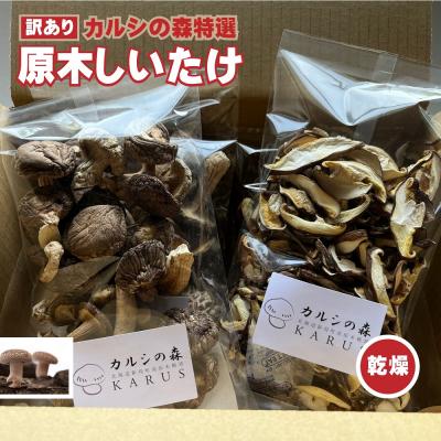 ふるさと納税 新得町 【訳あり】カルシの森特選 原木しいたけ(乾燥)約160g Y-1006 : Yahoo!ふるさと納税 - 通販 - Yahoo!ショッピング