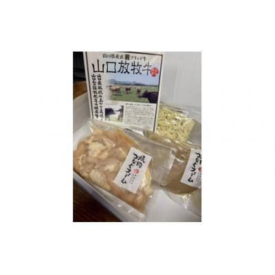 ふるさと納税 山口市 焼き肉つなぐファーム 山口放牧牛 特選味噌スープ&濃いコクスープもつ鍋セット(4人前) D382 : 3252920 : Yahoo!ふるさと納税 - 通販 ...