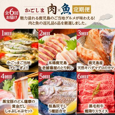 ふるさと納税 鹿児島市 【肉×魚】6回定期便 K000-T2502 : Yahoo!ふるさと納税 - 通販 - Yahoo!ショッピング