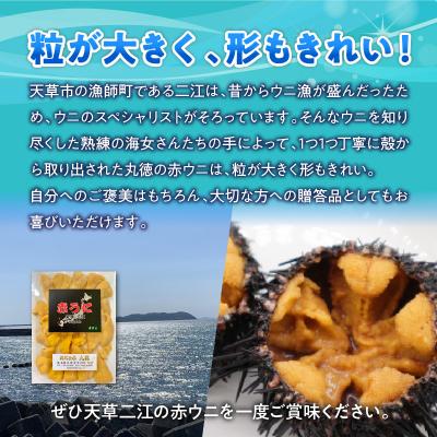 ふるさと納税 天草市 天草二江の天然赤うに 80g_S157-005 : Yahoo!ふるさと納税 - 通販 - Yahoo!ショッピング